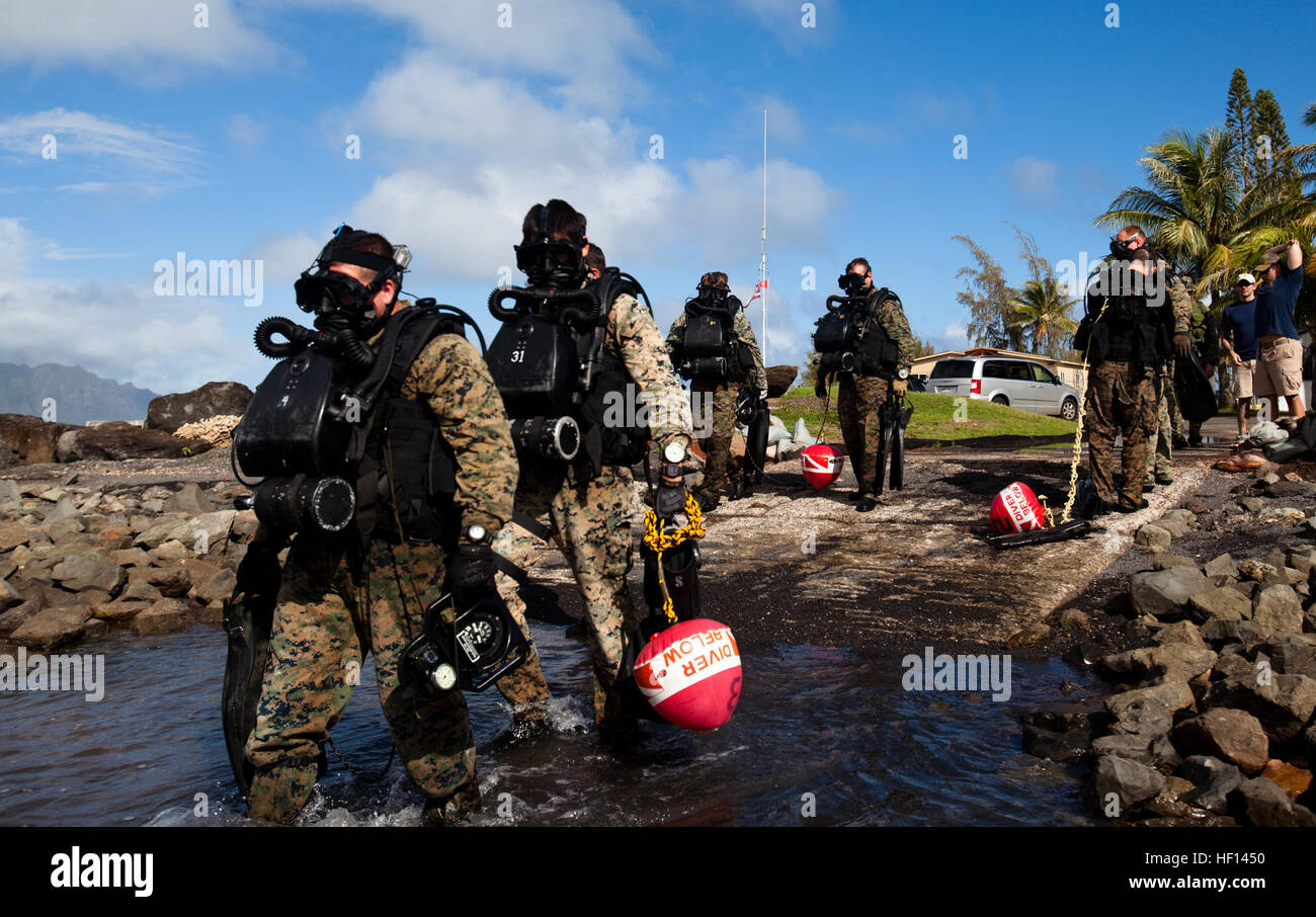 Reconnaissance Marines of Bravo Company, 3rd Reconnaissance Battalion ...