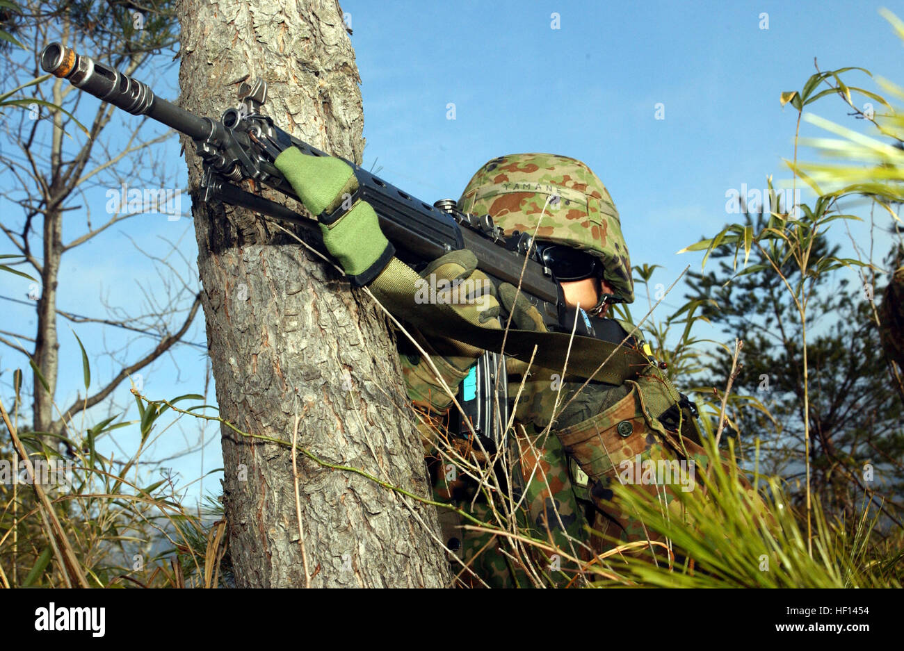 JGSDF Type 89 Rifle Stock Photo - Alamy