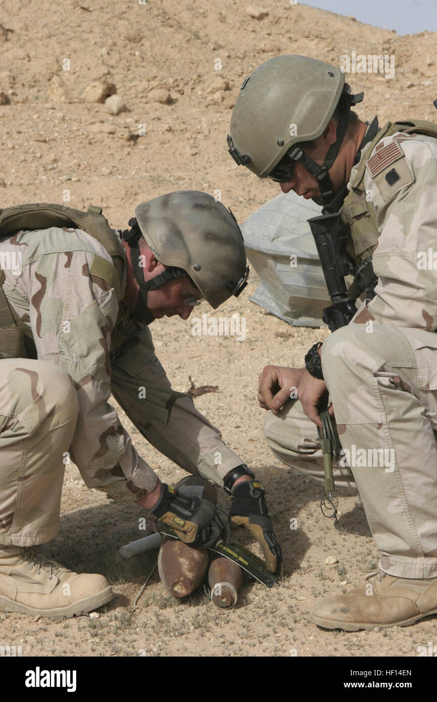 Asp wolf hi-res stock photography and images - Alamy