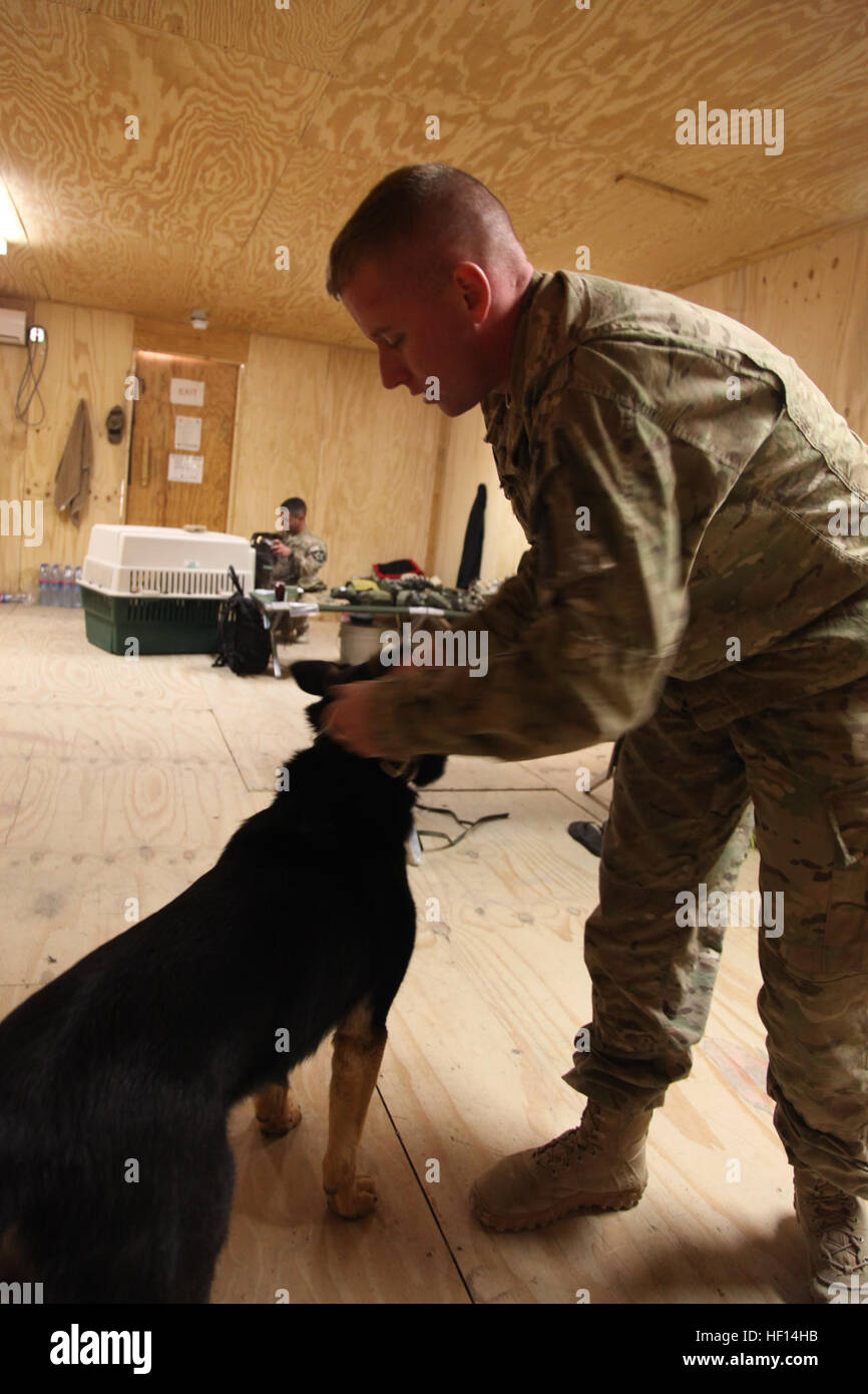 U.S. Army Staff Sgt. Waylon Vary, 100th Military Working Dog Detachment ...