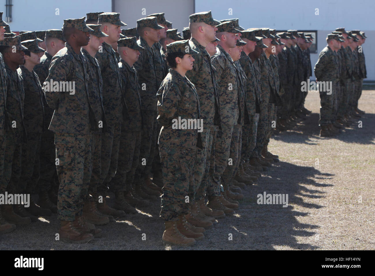 Marines with 2nd Maintenance Battalion, Combat Logistics Regiment 25 ...