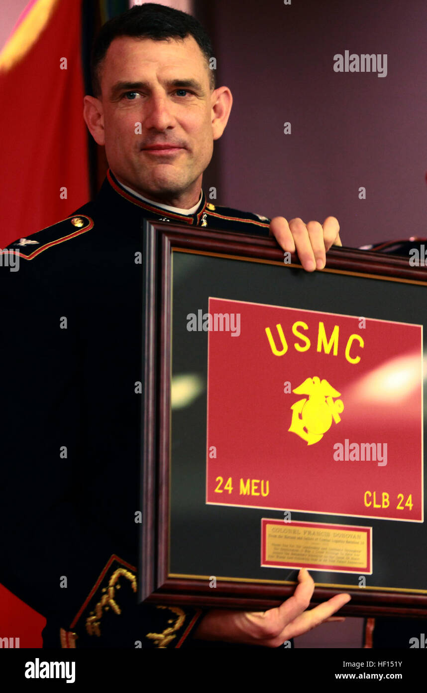 Col. Frank L. Donovan, the commanding officer of the 24th Marine ...