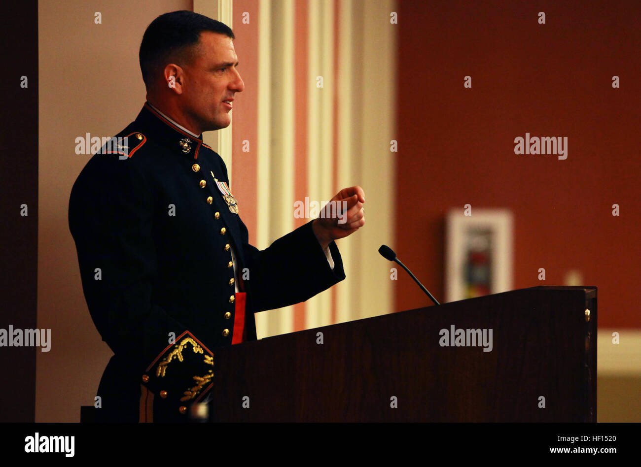 Col. Frank L. Donovan, the commanding officer of the 24th Marine ...