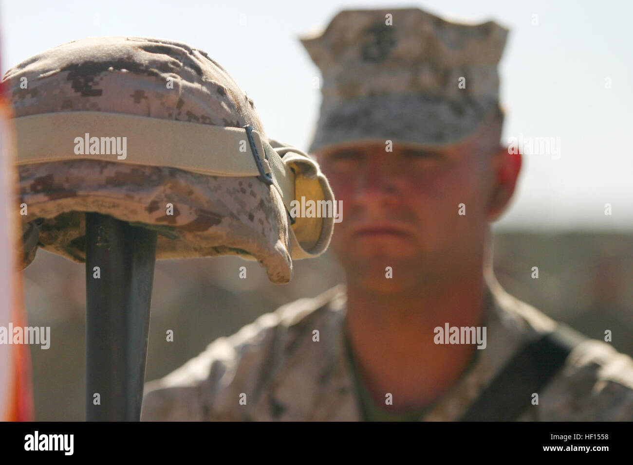 U.S. Marines conduct field training exercises to maintain combat ...