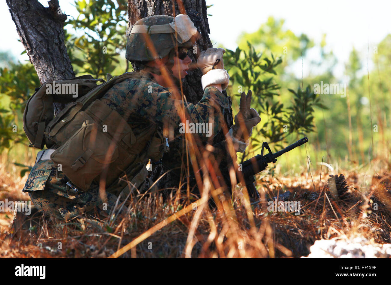 Marine student camp lejeune hi-res stock photography and images - Alamy