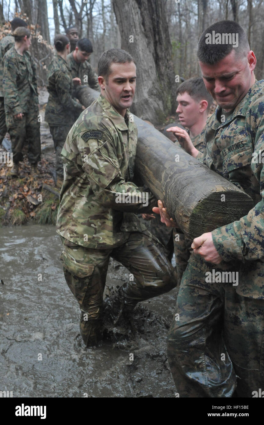 Marines work together to get a log over a water obstacle during the ...