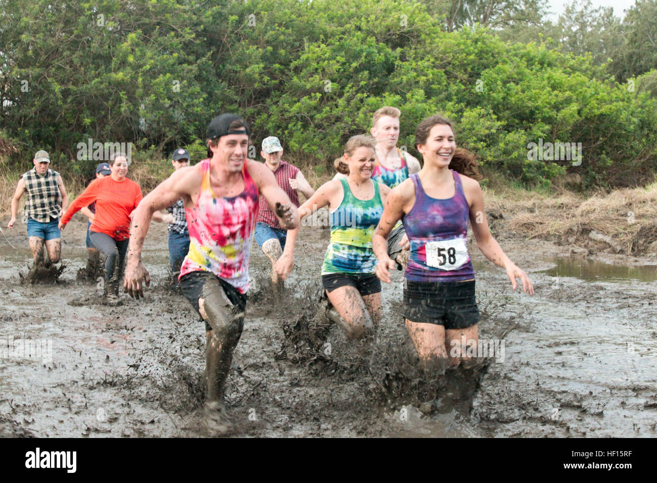 Swamp romp hi-res stock photography and images - Alamy