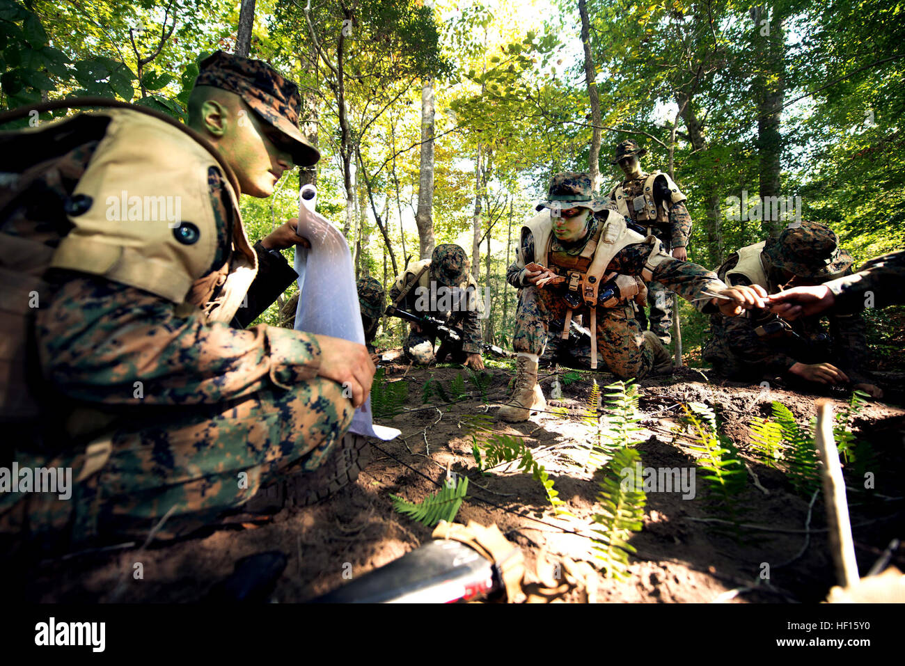 Marines patrol through the forest of Camp Geiger, N.C. during patrol ...