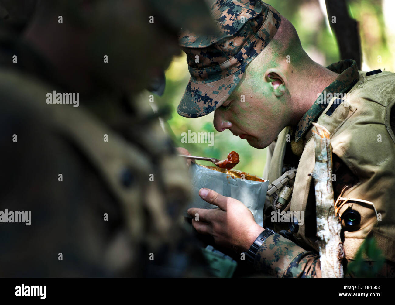 Marines patrol through the forest of Camp Geiger, N.C. during patrol ...