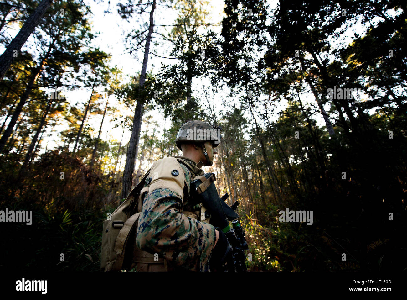 A Marine infantry student patrols through the forest of Camp Geiger, N ...