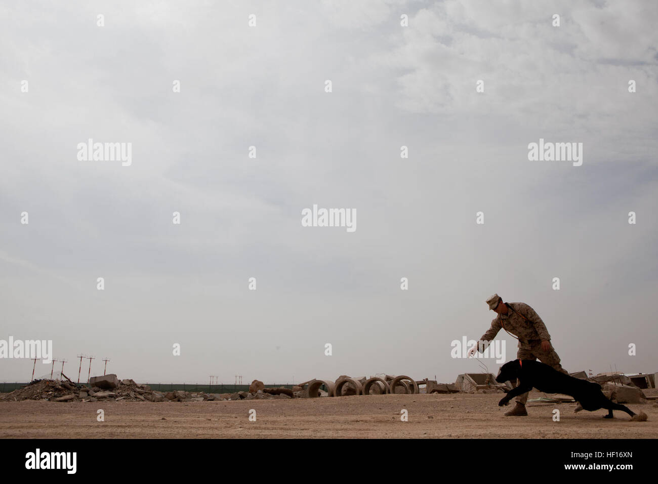 U.S. Marine Cpl. Clint Price, a dog handler with 2d Combat Engineer ...