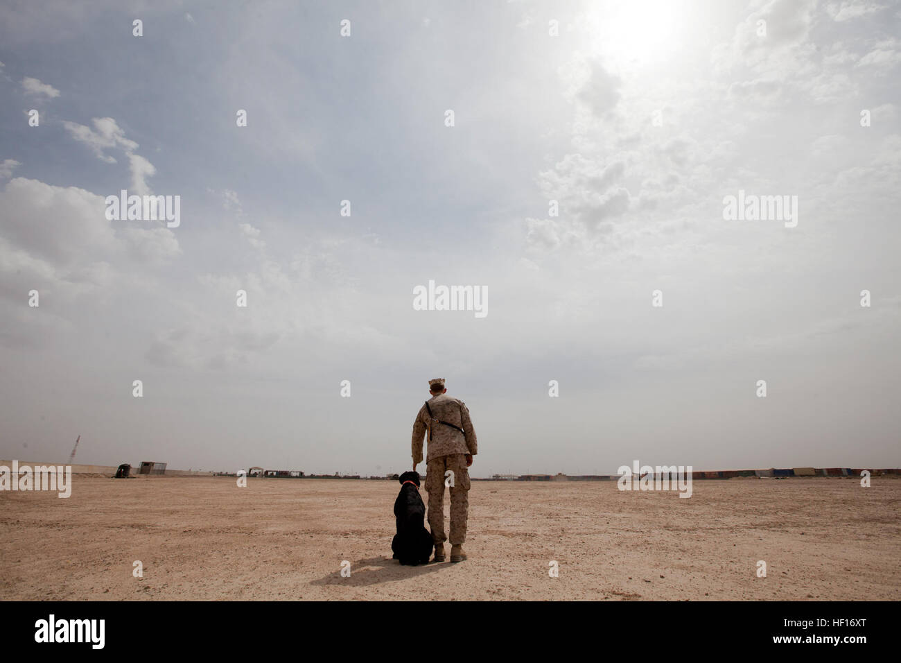 War dogs and handlers hi-res stock photography and images - Alamy