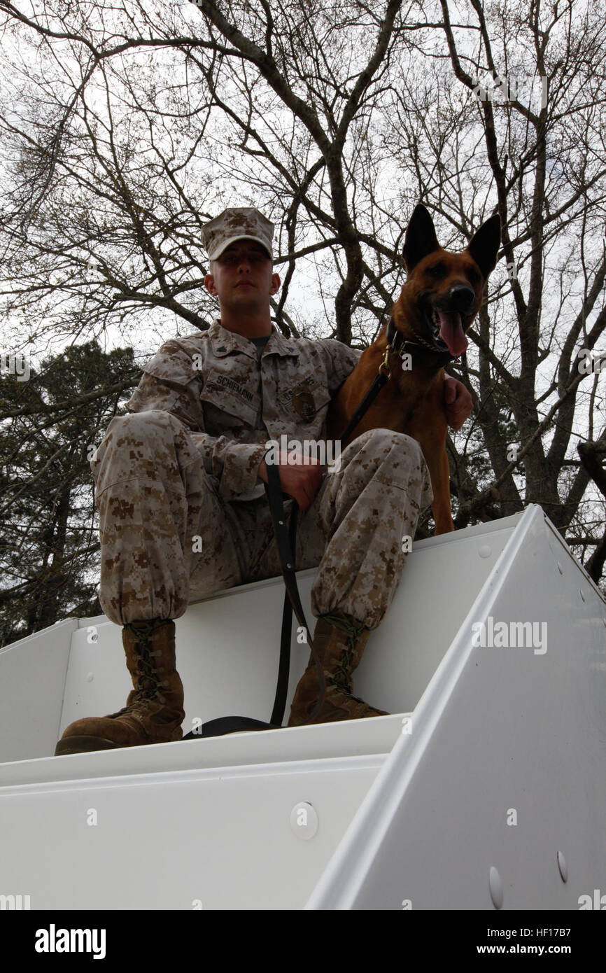 Cpl. Kyle Schiemann, a military working dog handler with Headquarters ...