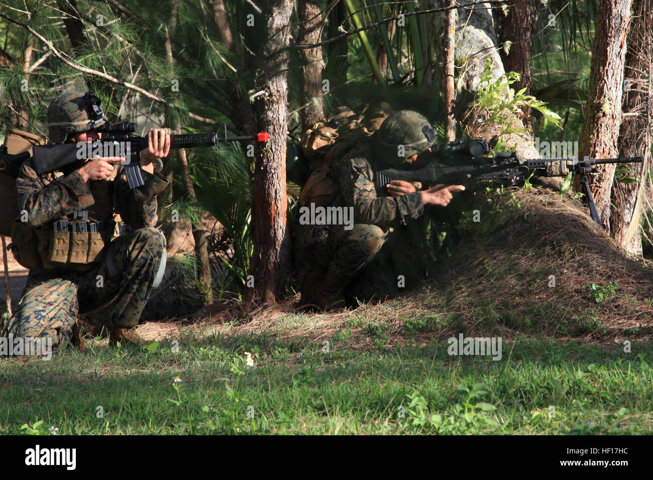 240 bravo machine gun hi-res stock photography and images - Alamy