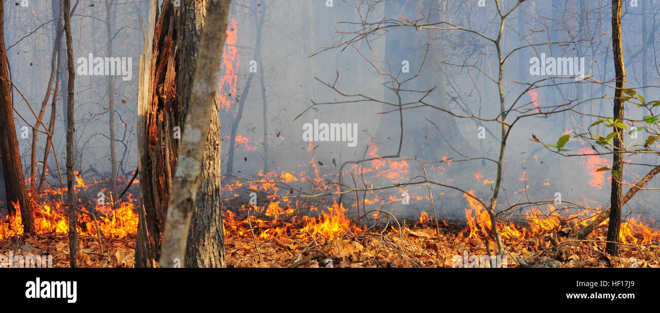 Quantico Fire Department and Emergency Rescue Services responded to a ...