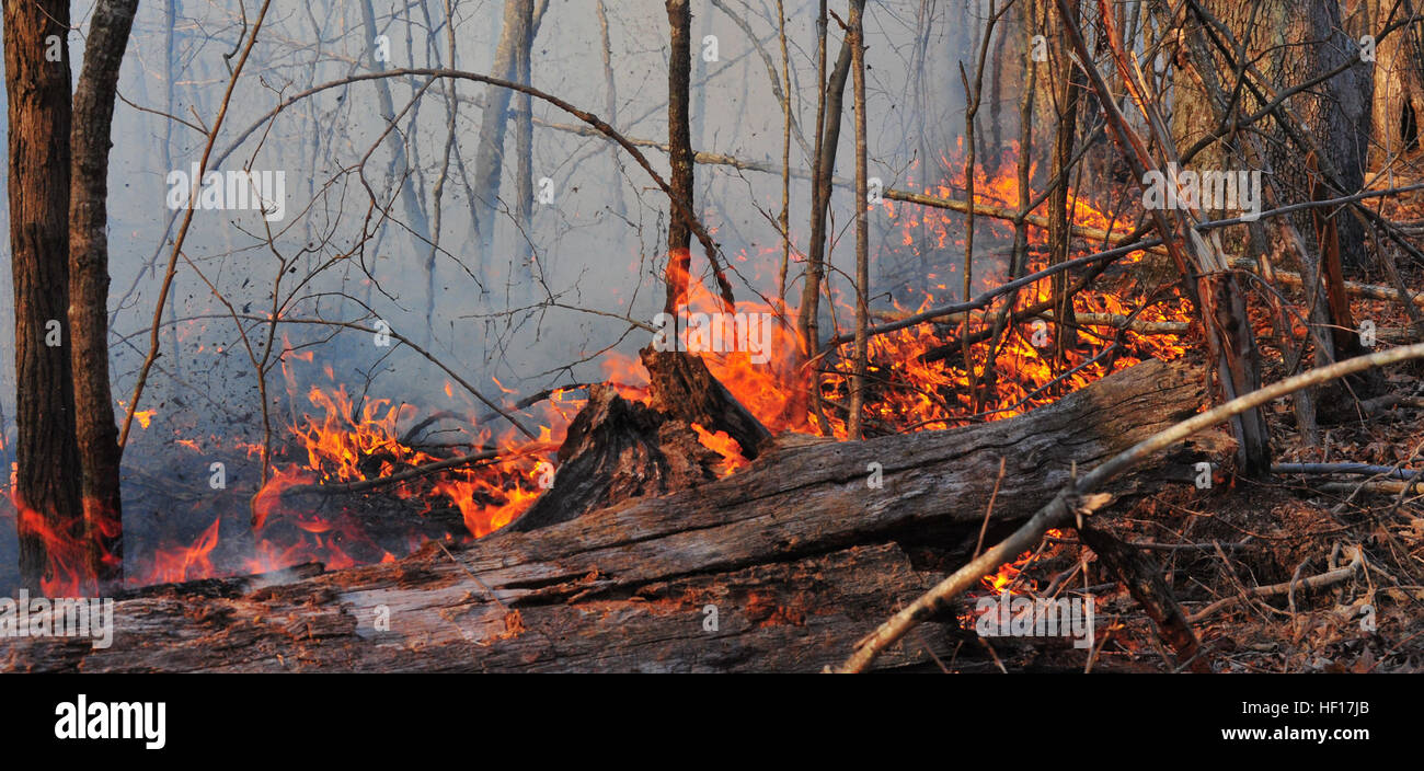 Quantico Fire Department and Emergency Rescue Services responded to a ...