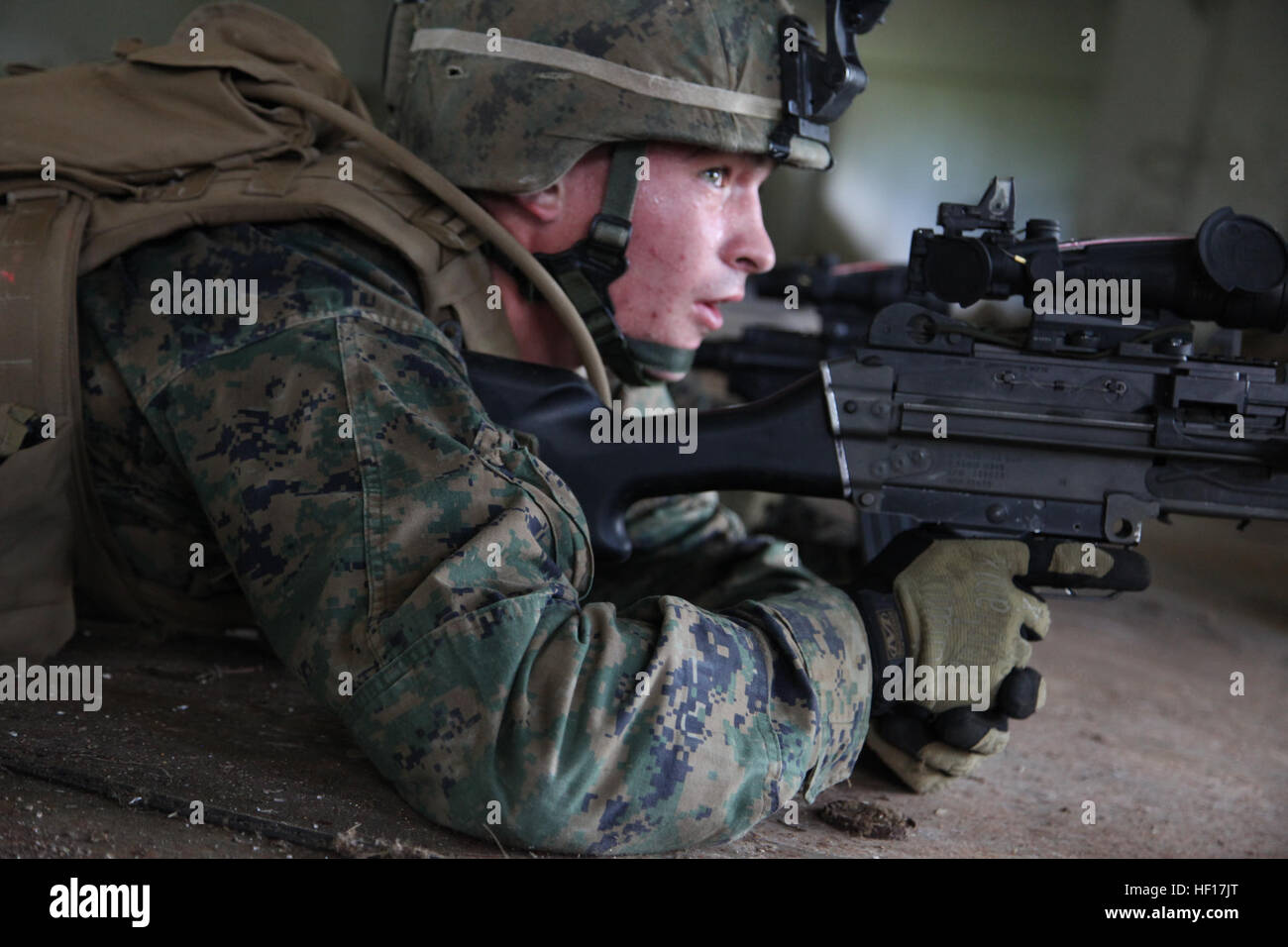 240 bravo machine gun hi-res stock photography and images - Alamy