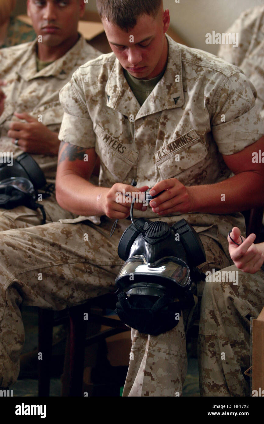 M50 joint service general purpose gas masks hi-res stock photography ...