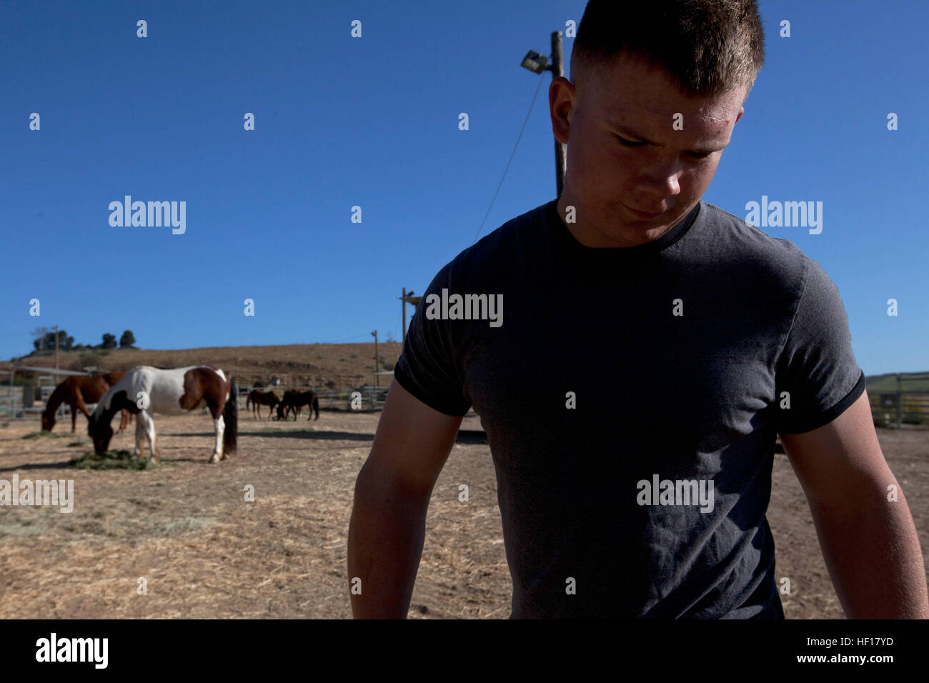 Stepp stables hi-res stock photography and images - Alamy