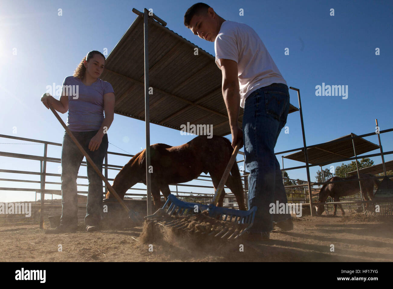 Stepp stables hi-res stock photography and images - Alamy