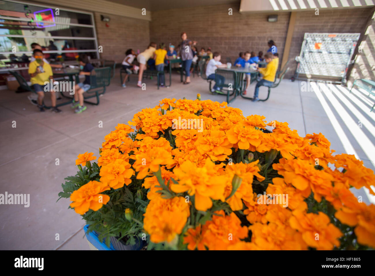 Children from youth center hi-res stock photography and images - Alamy