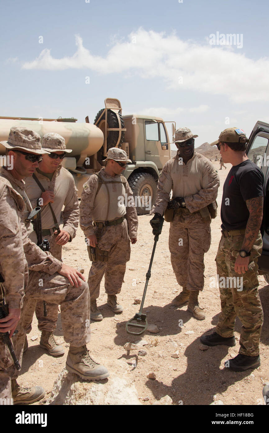 Combat engineers from Battalion Landing Team 3/2, 26th Marine ...