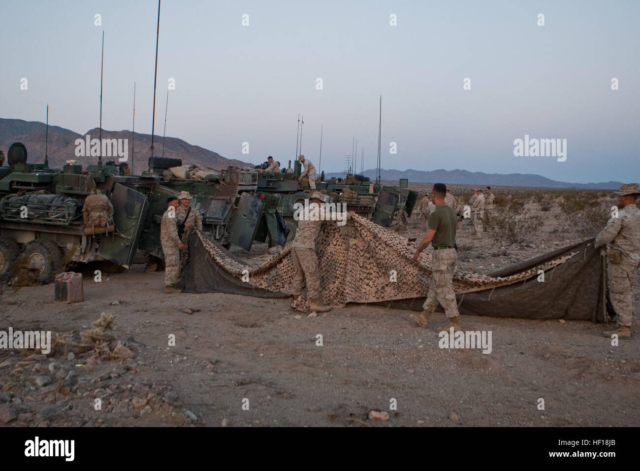 U.S. Marines with Apache Company, 3rd Light Armored Reconnaissance ...