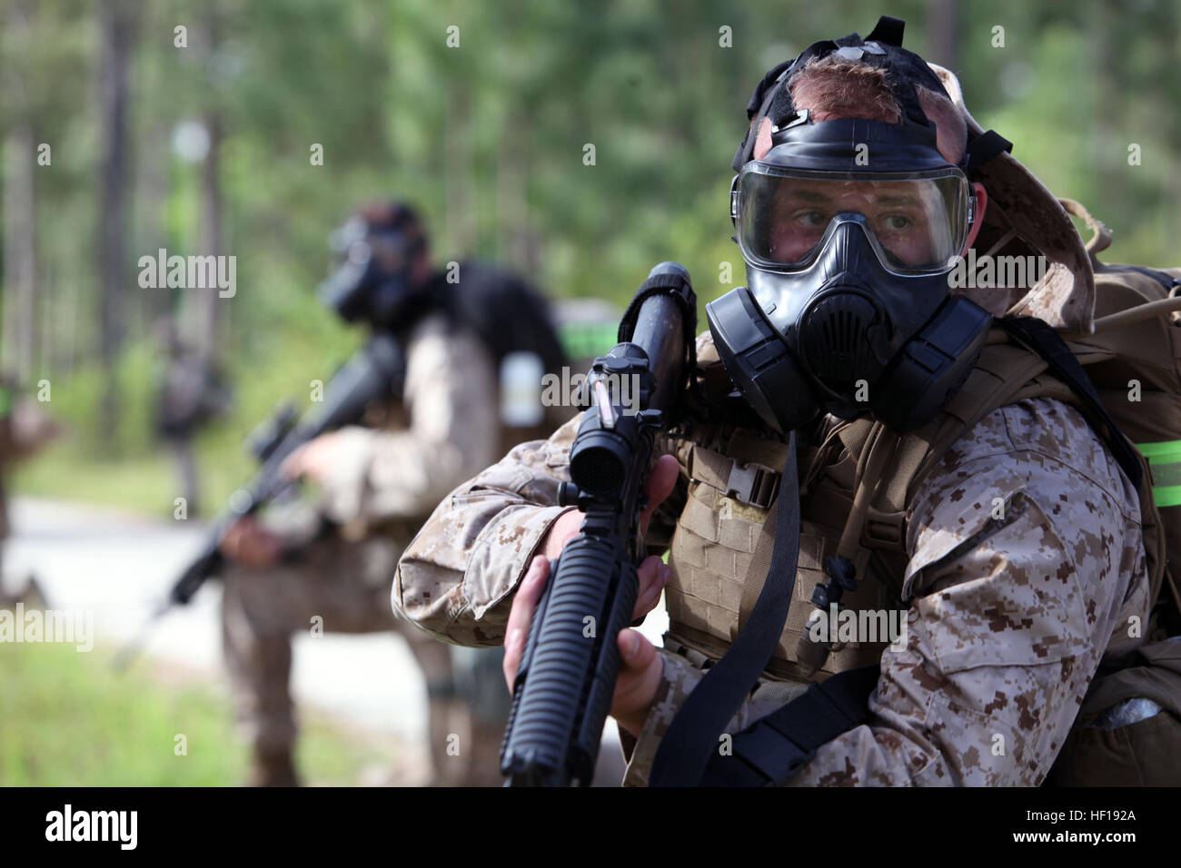 Marines with 2nd Maintenance Battalion, 2nd Marine Logistics Group ...