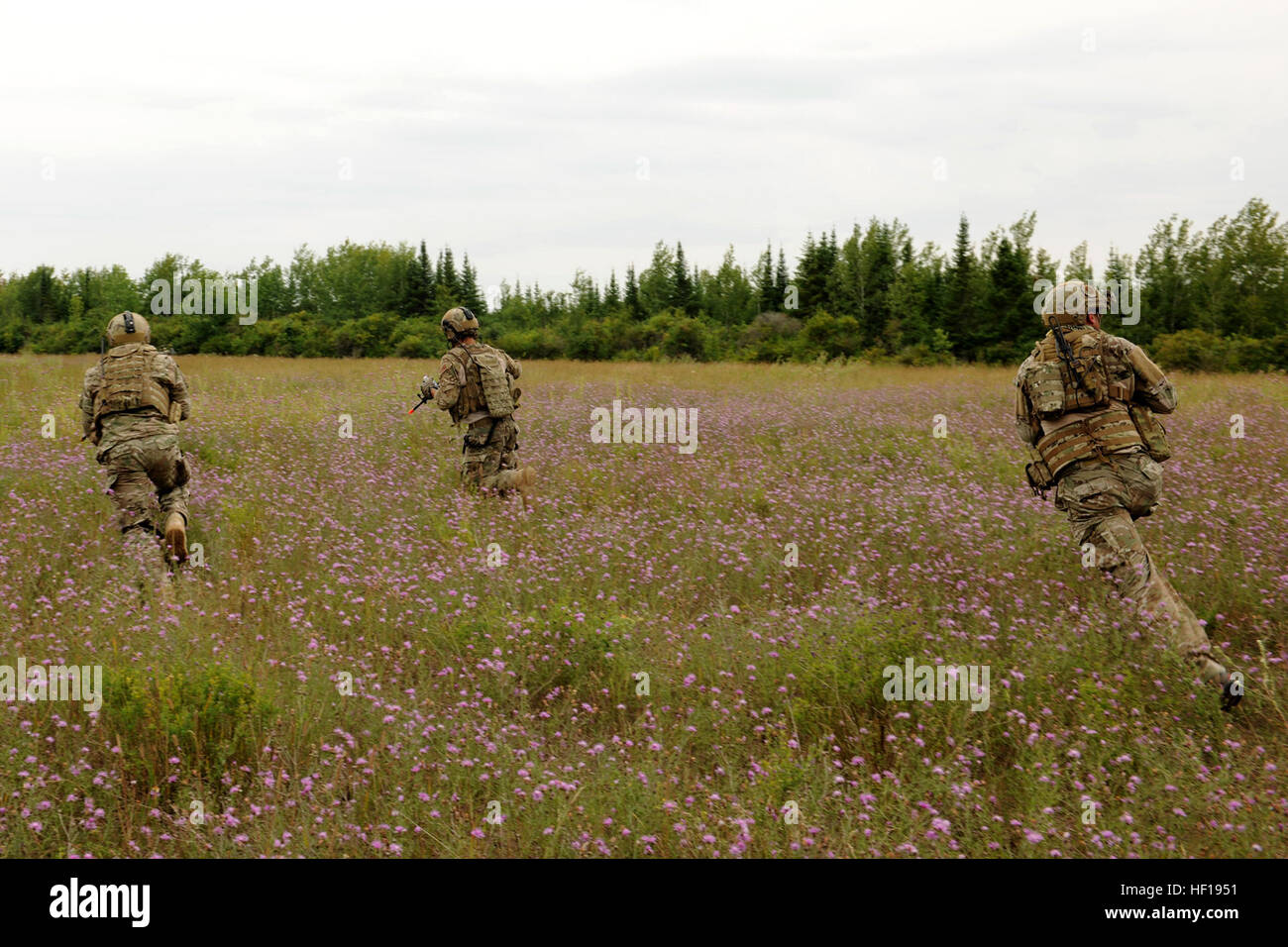 Airmen serving as Joint Terminal Attack Controllers with the 169 Air ...