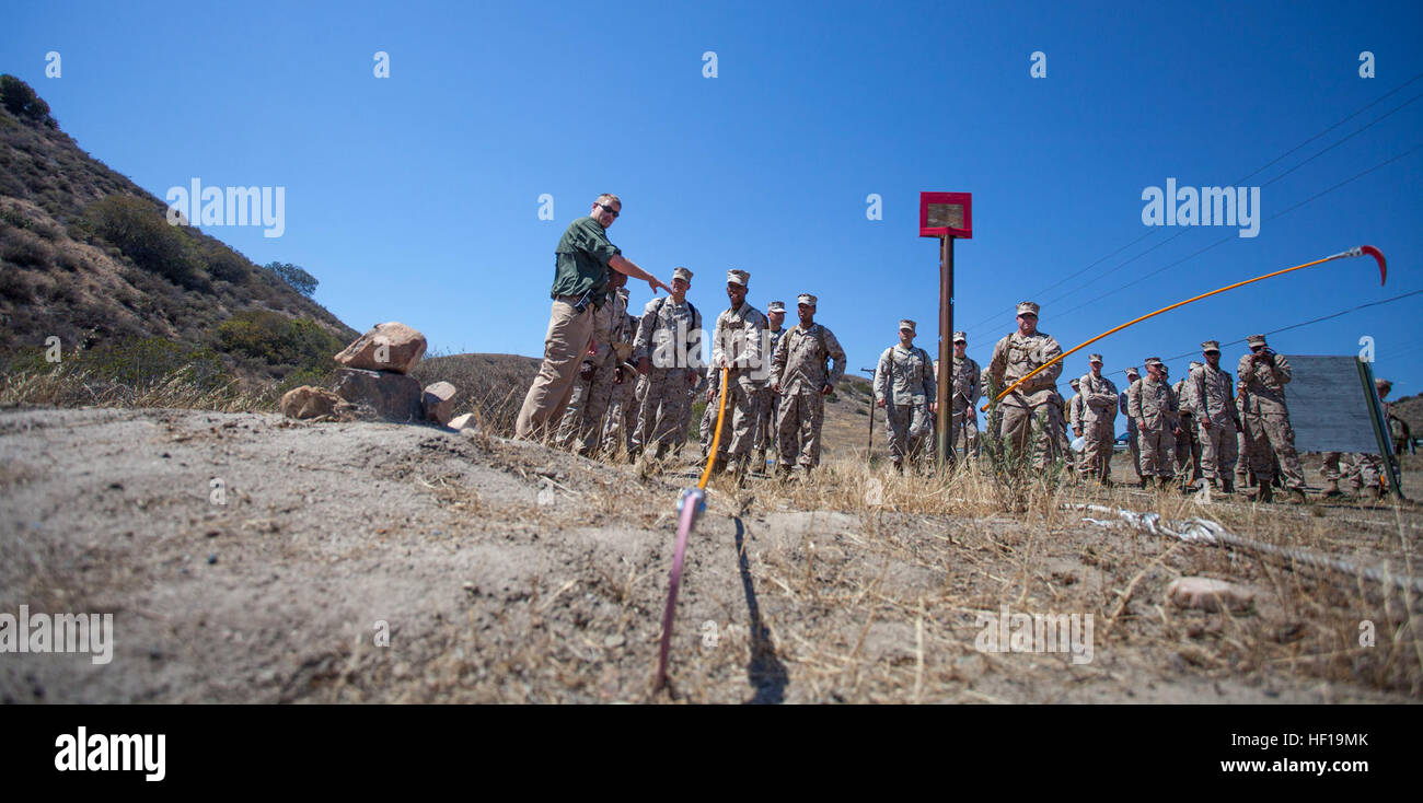 Holley stick hi-res stock photography and images - Alamy