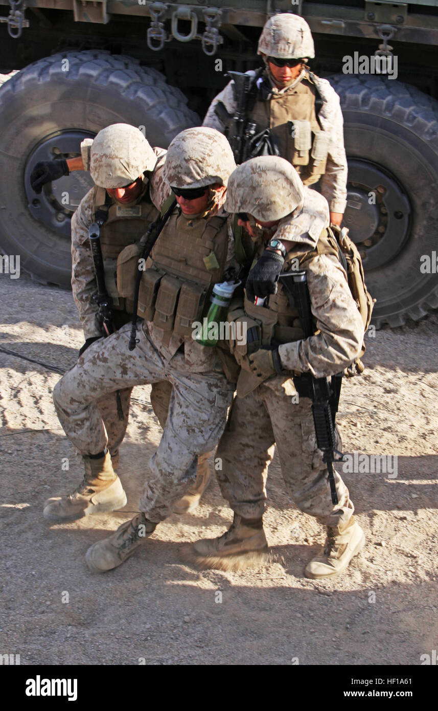 Marines with Combat Logistics Battalion 6, 2nd Marine Logistics Group ...