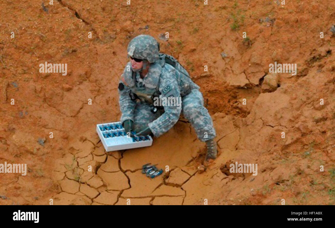 North Carolina National Guard Army 1st Lt. Lindsey Blare of the 430th ...