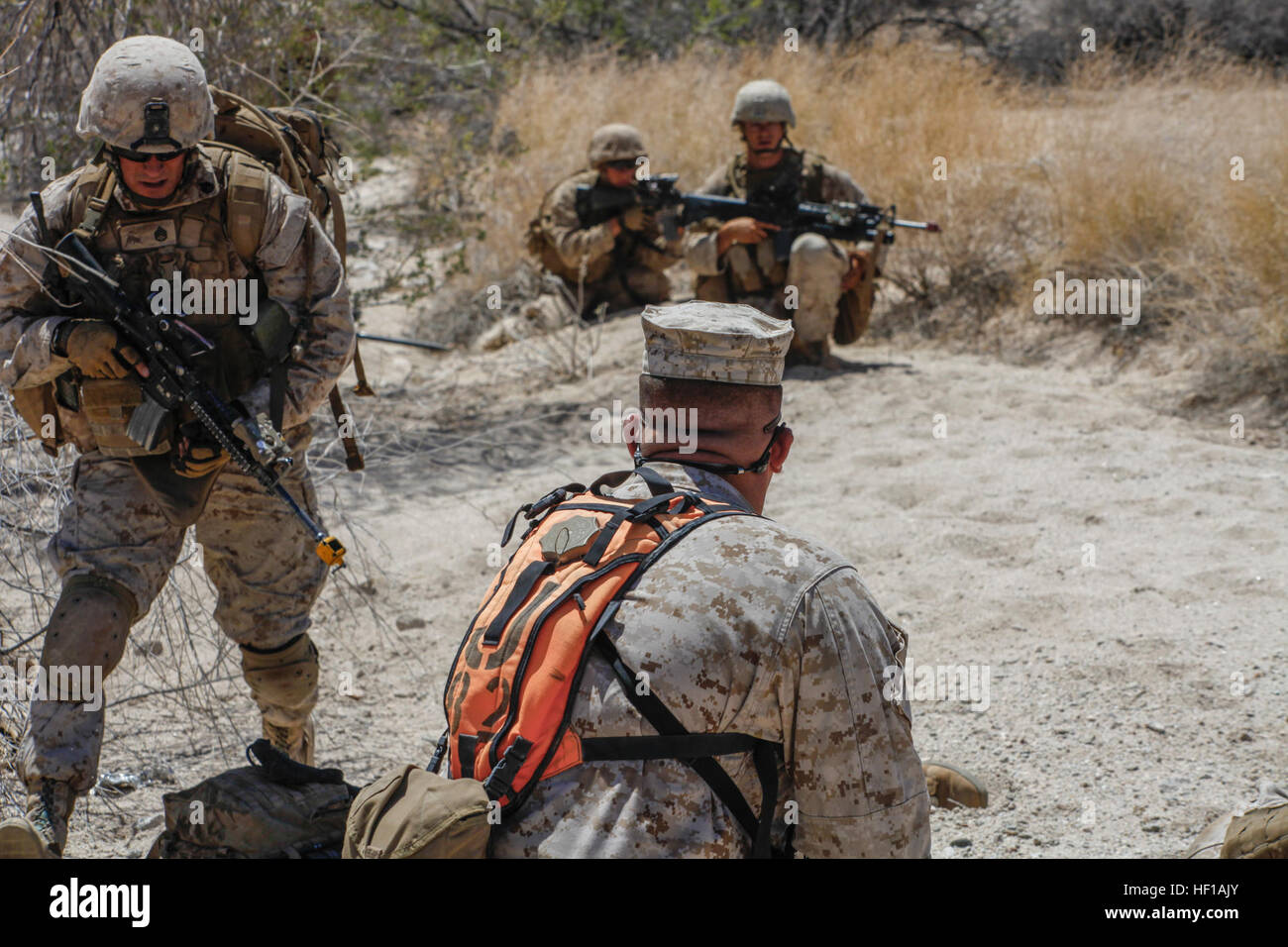 A maneuver coyote with the Tactical Training Exercise Control Group of ...
