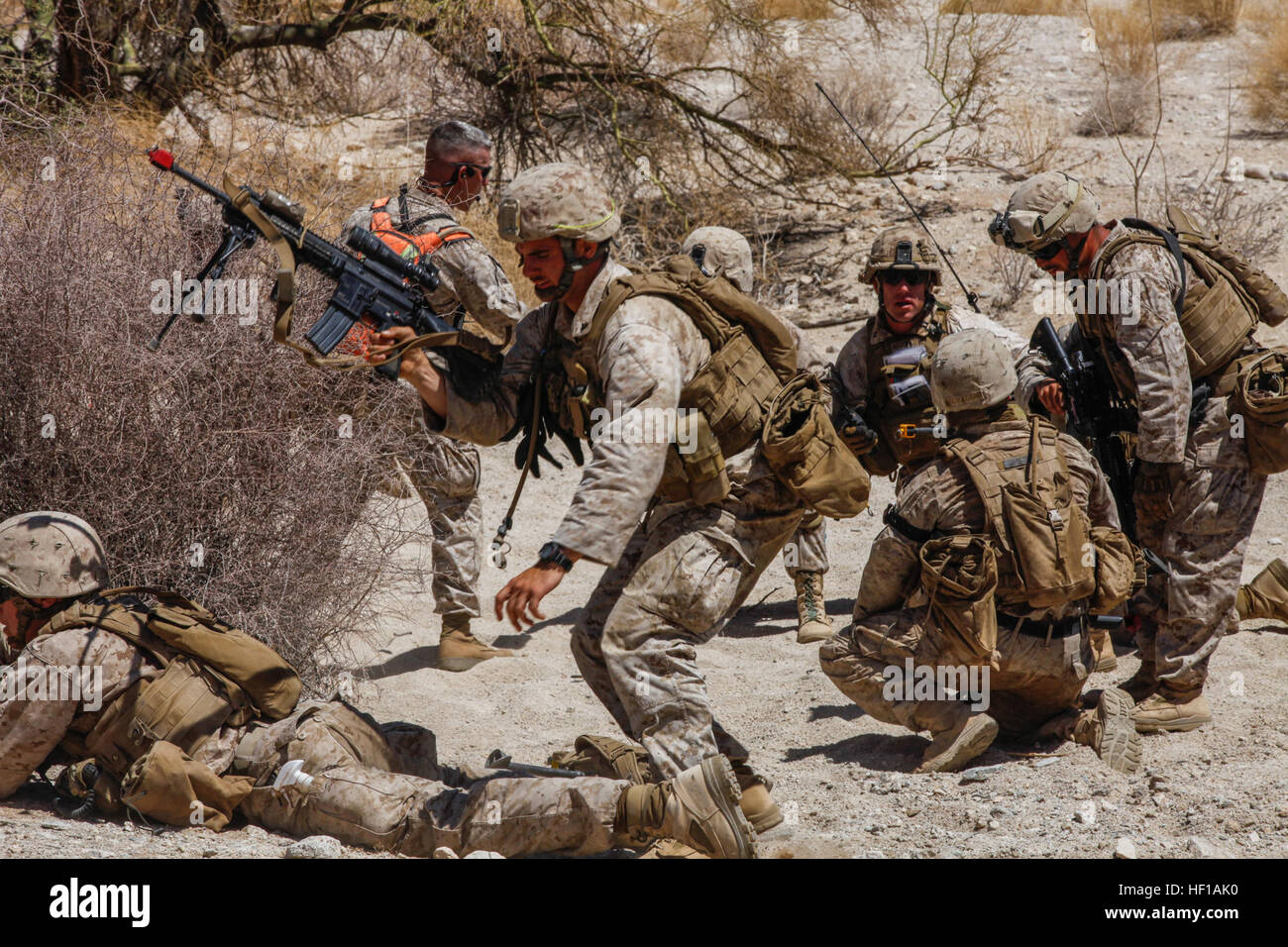A maneuver coyote with the Tactical Training Exercise Control Group of Marine Corps Air Ground ...