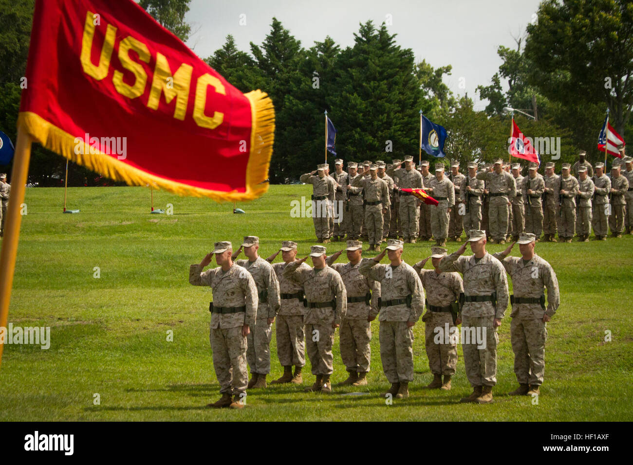 Marines with 2nd Battalion, 9th Marine Regiment, salute during their ...