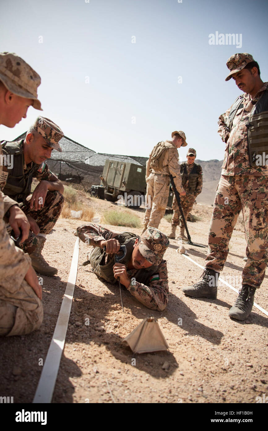 U.S. Marine Corps combat engineers assigned to Battalion Landing Team 3 ...