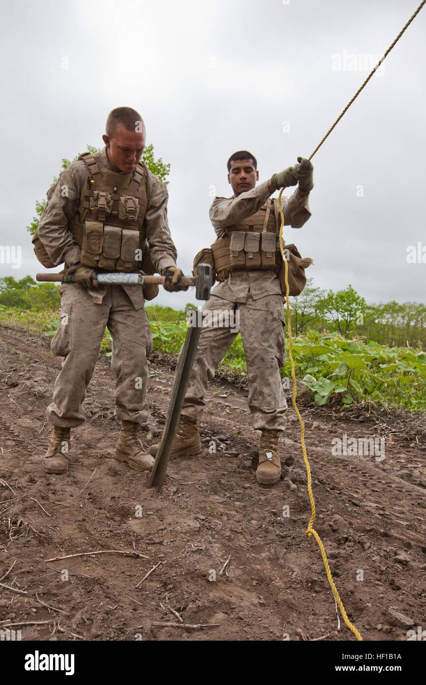 U.S. Marine Corps artillerymen secure camouflage netting for cover and ...