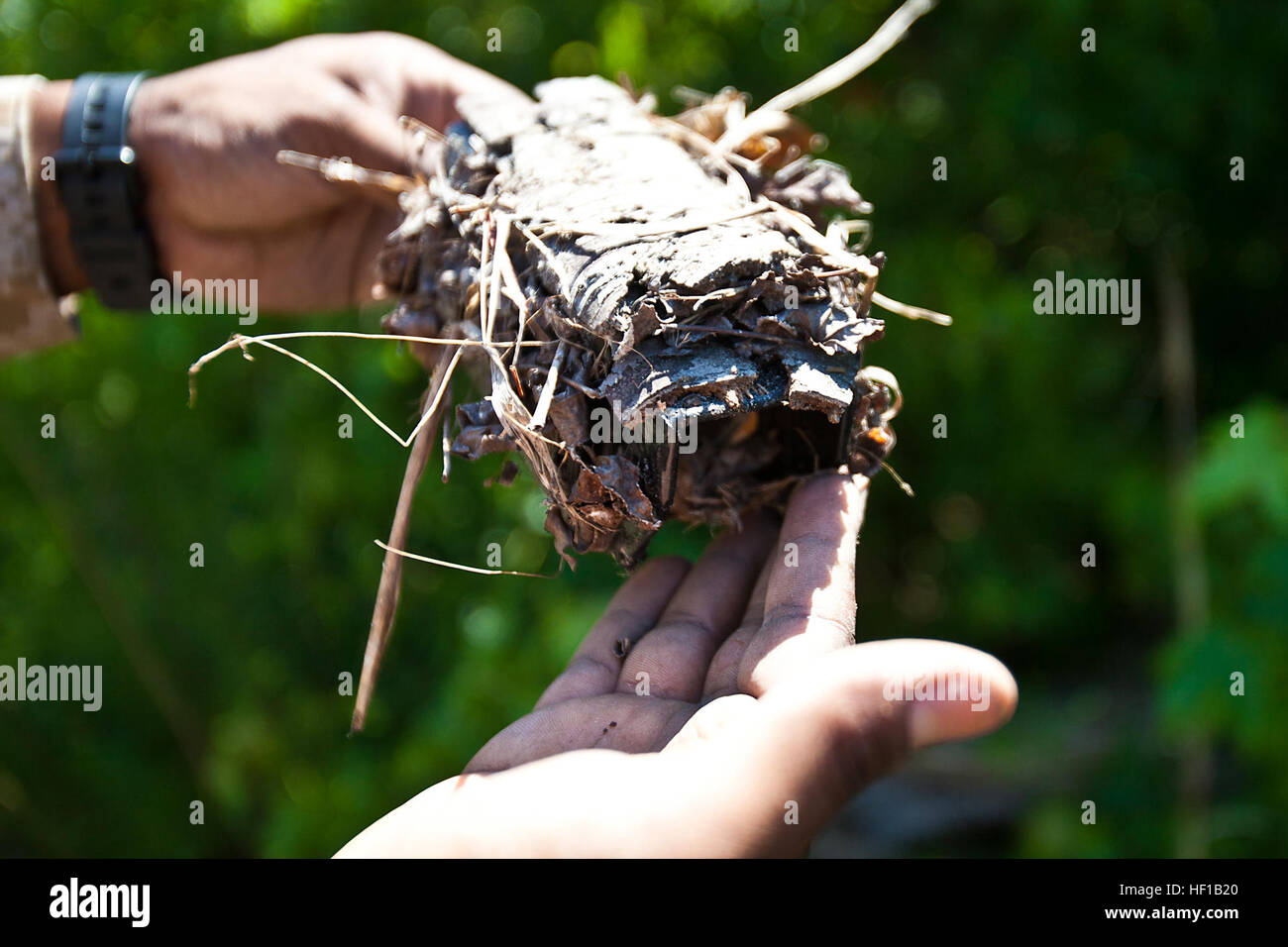 Camouflaged units hi-res stock photography and images - Alamy