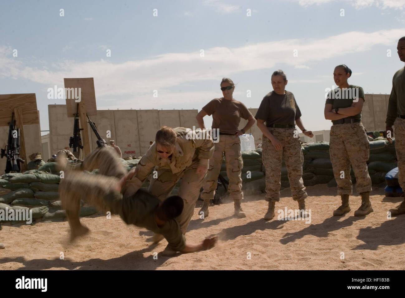 Lioness program hi-res stock photography and images - Alamy