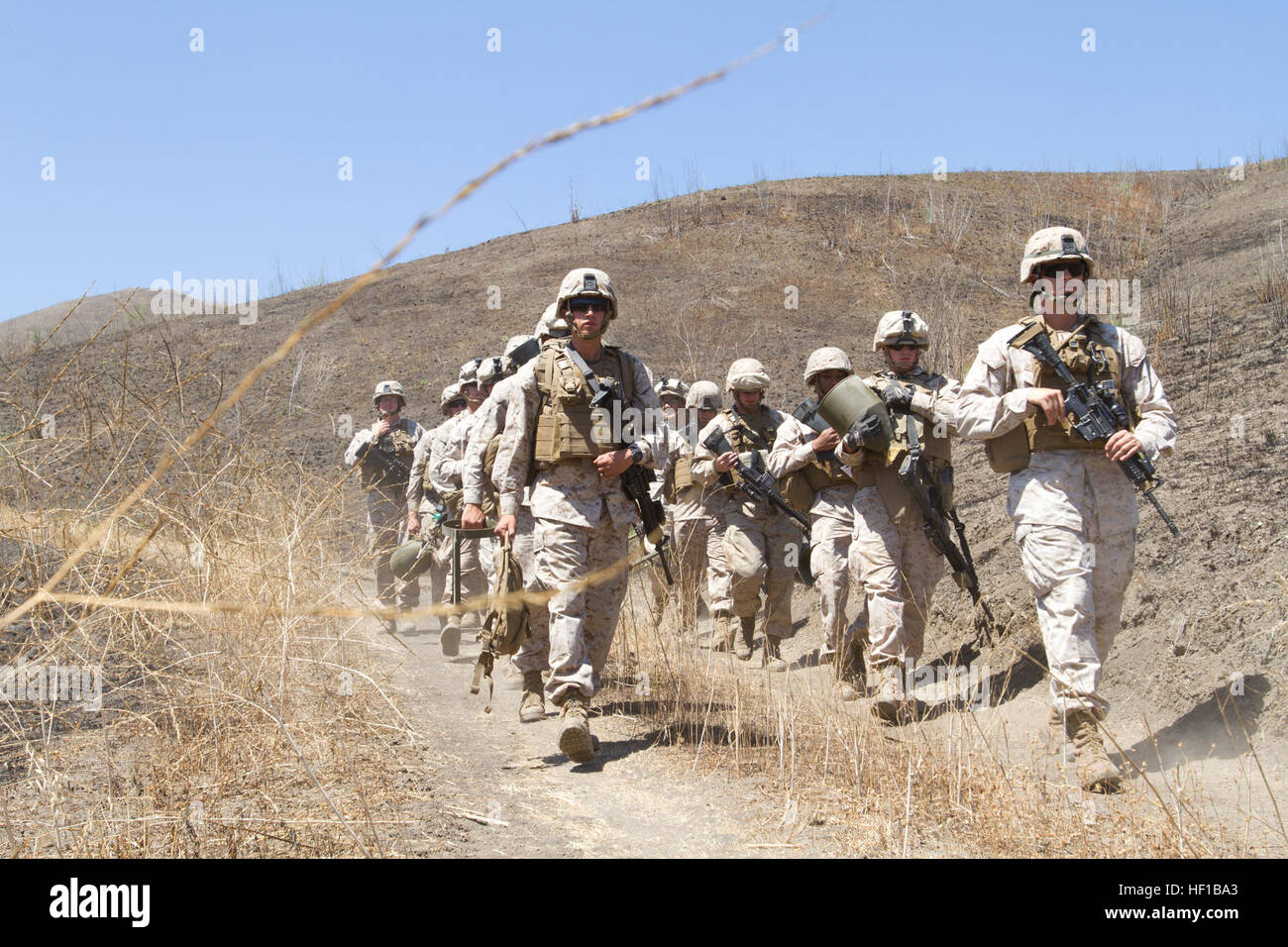 Marines from Bravo Company, 1st Combat Engineer Battalion conducted ...