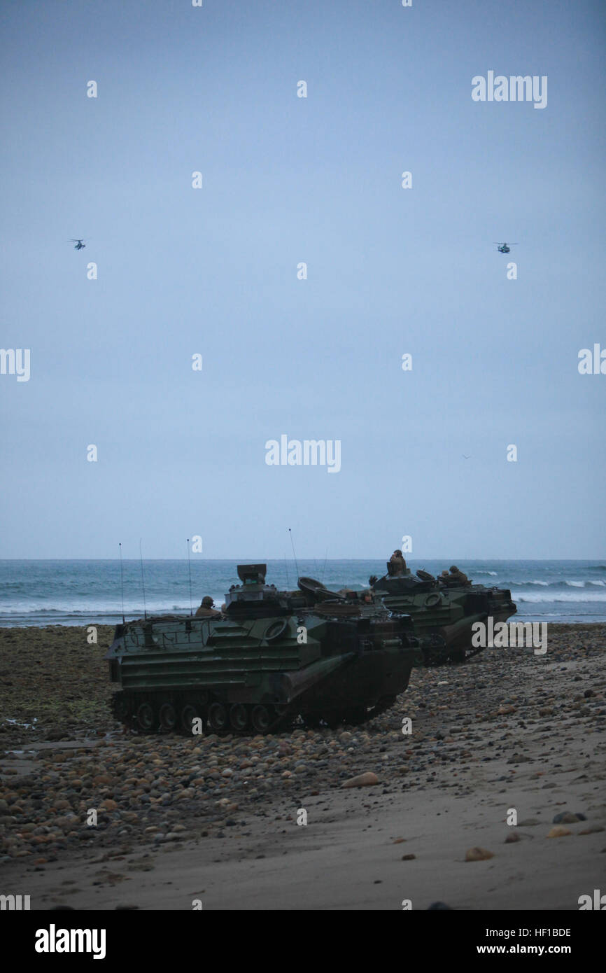 U.S. Marine Corps Assault Amphibious Vehicle 7A1s from 3rd Assault ...