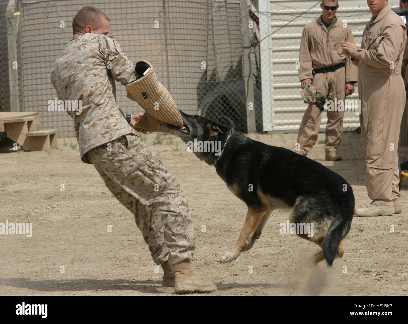 Fallujah usmc hi-res stock photography and images - Alamy