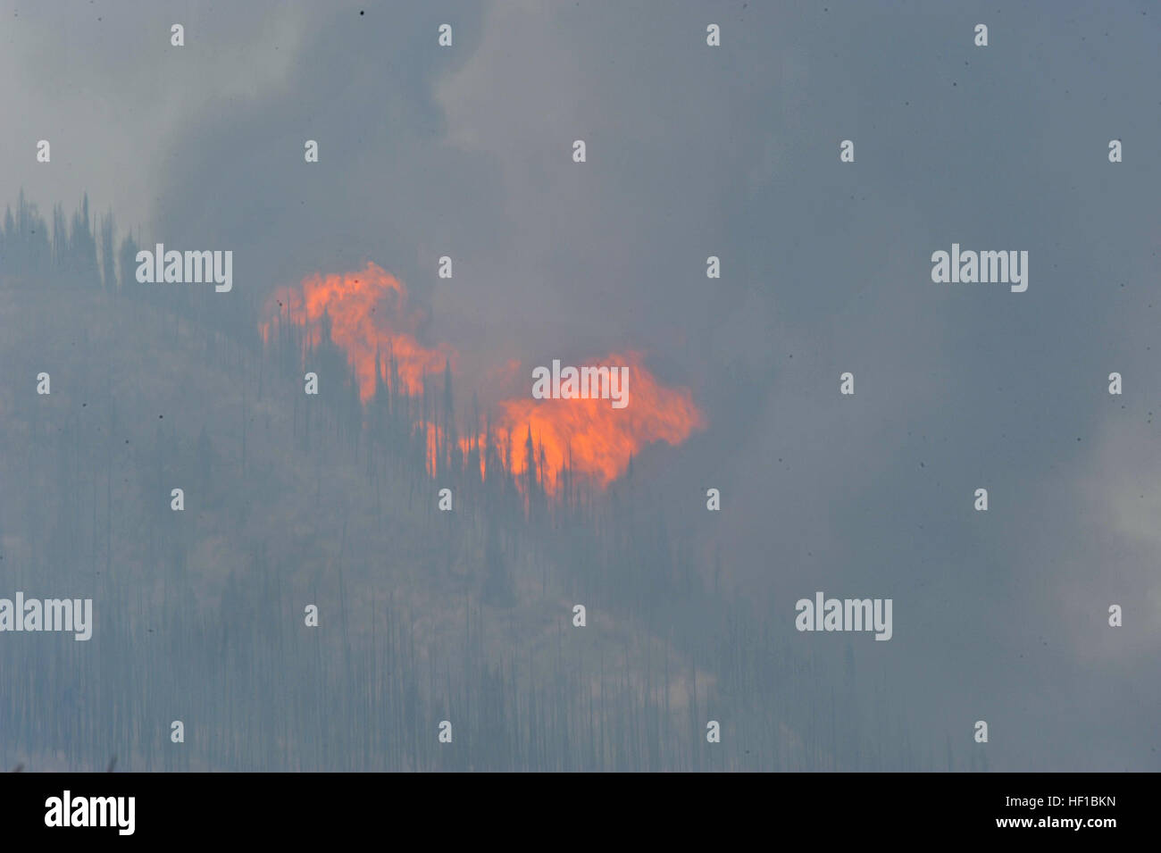 West fork fire complex hi-res stock photography and images - Alamy