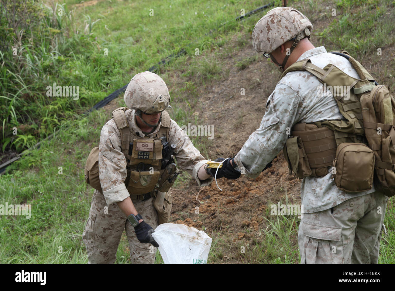 Explosive Ordnance Disposal Marines from 3rd EOD Company collect ...