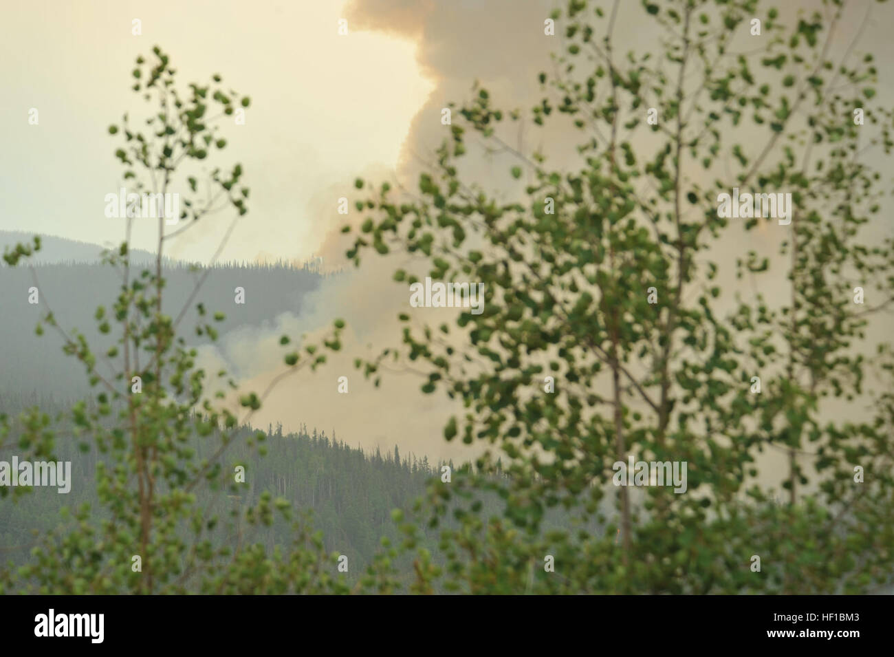 West fork fire complex hi-res stock photography and images - Alamy