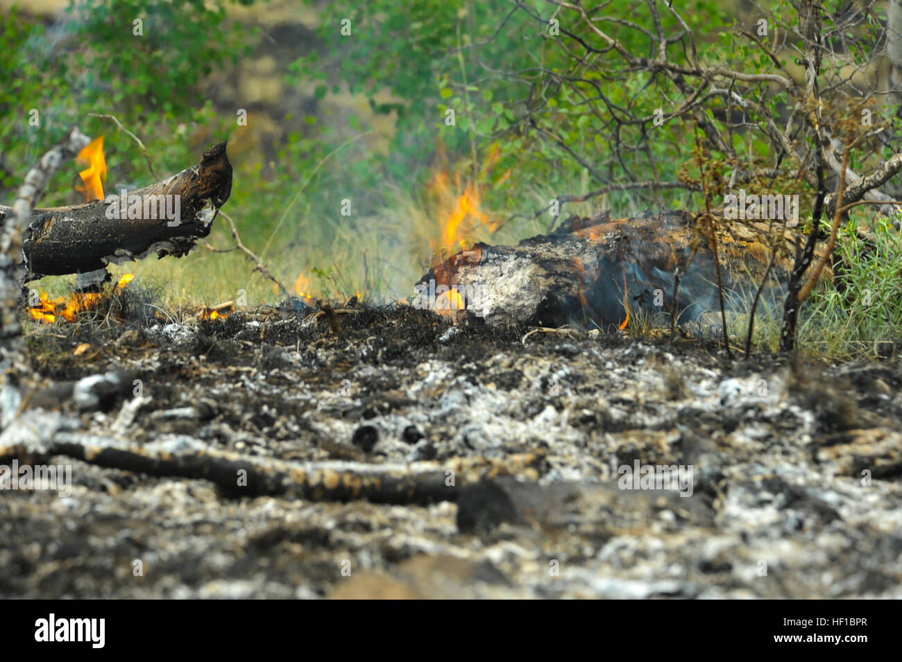 West Fork Complex Fire in southwest Colo. outside of Creede in the Rio ...