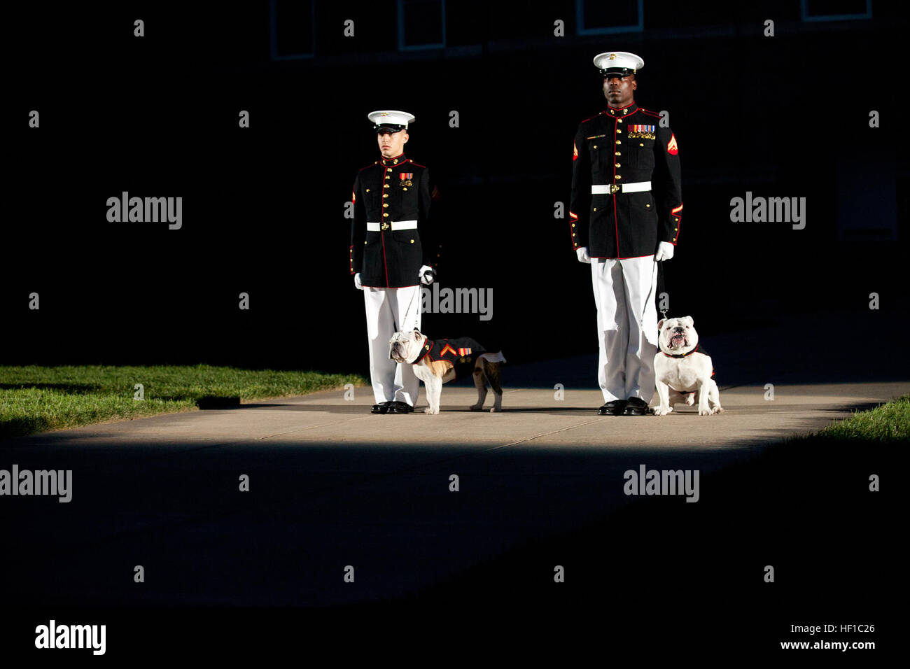 Marines mascots hi-res stock photography and images - Alamy
