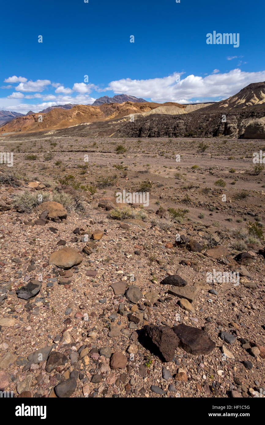 Desert landscape, view from, Dante's View Road, Death Valley National ...
