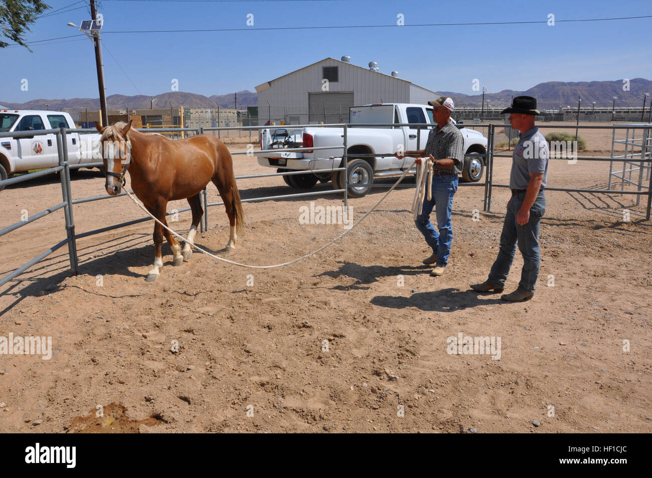 United states marine corps mounted color guard hi-res stock photography ...