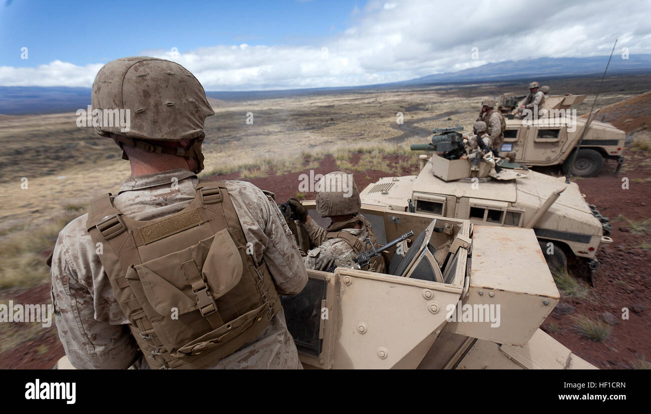 Marines with Combined Anti-Armor Team 1 Bravo, Weapons Company, 2nd ...